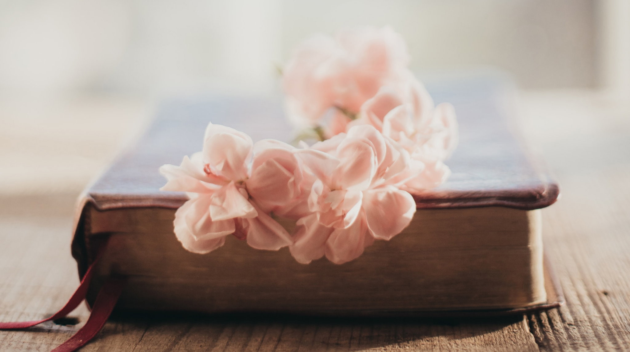 Limhamns Begravningsbyrå - Limhamns Begravningsbyrå